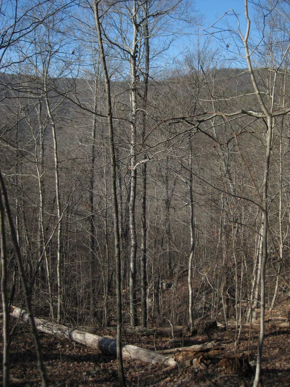 IMG_8832 - LandStruck