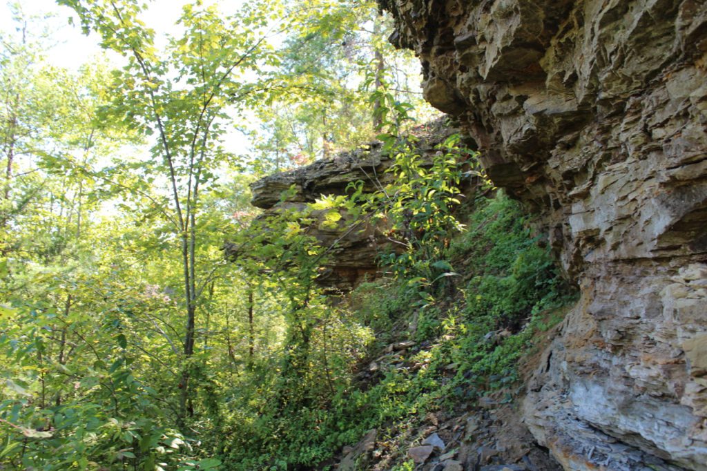 Land With A Bluff - LandStruck