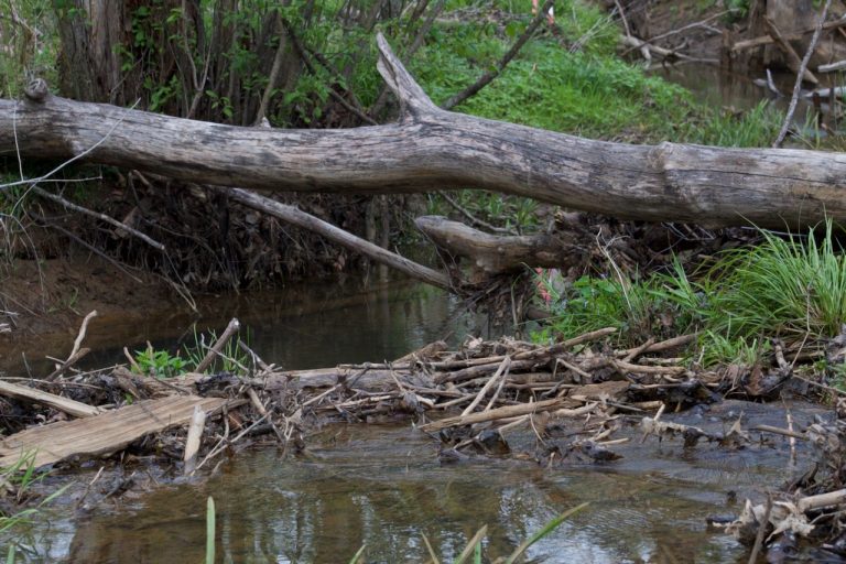Land With A Natural Water Source - LandStruck
