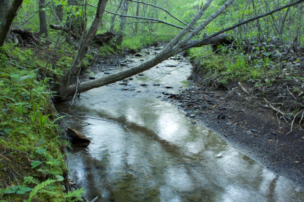 Land With A Natural Water Source - LandStruck