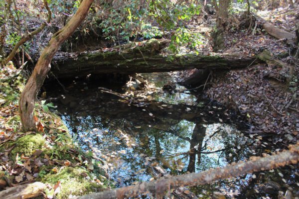 Land With A Natural Water Source - LandStruck